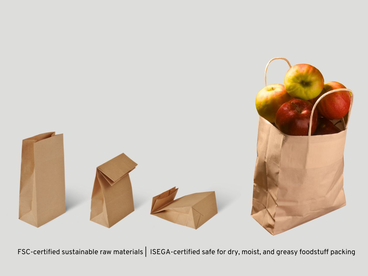 Disposable Food Packaging Supplier In Malaysia | PXL Marketing